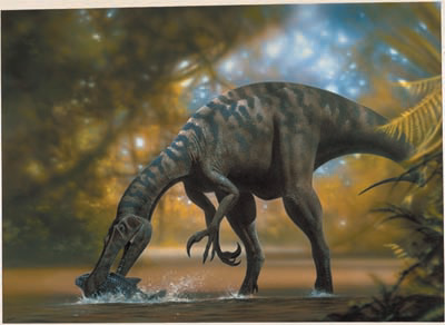 Baryonyx | Ikessauro