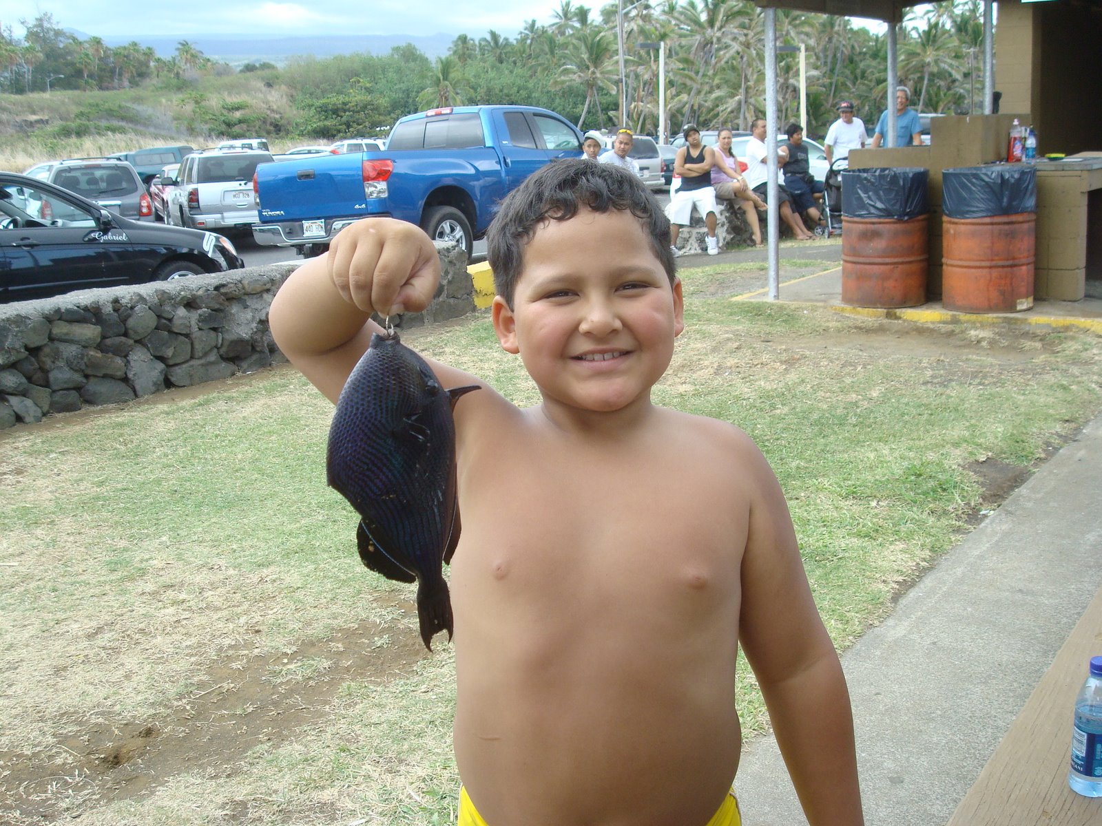 Ikan Pogot - Leather Jacket Fish - Picasso Triggerfish (Aluterus Monoceros)