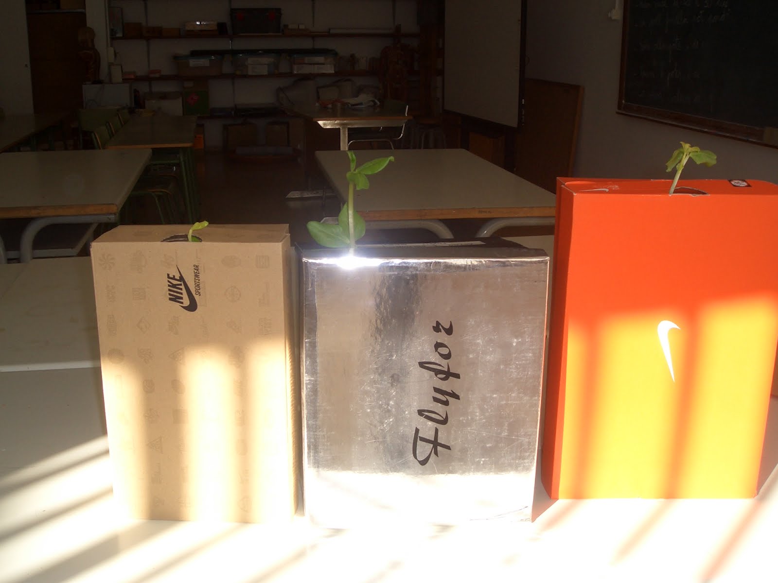 SCIENCE FOR CURIOUS STUDENTS: Shoe box maze Experiment!