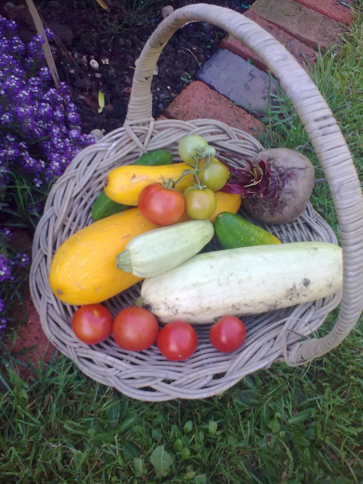 Layered Harvest Vegetable Pie (vegan)