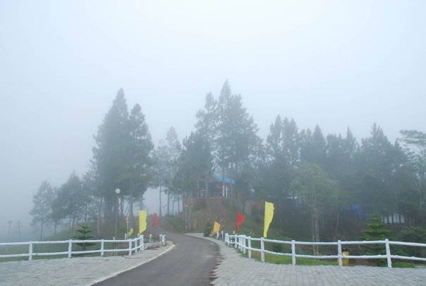 Make It Davao: Seagull Mountain Resort