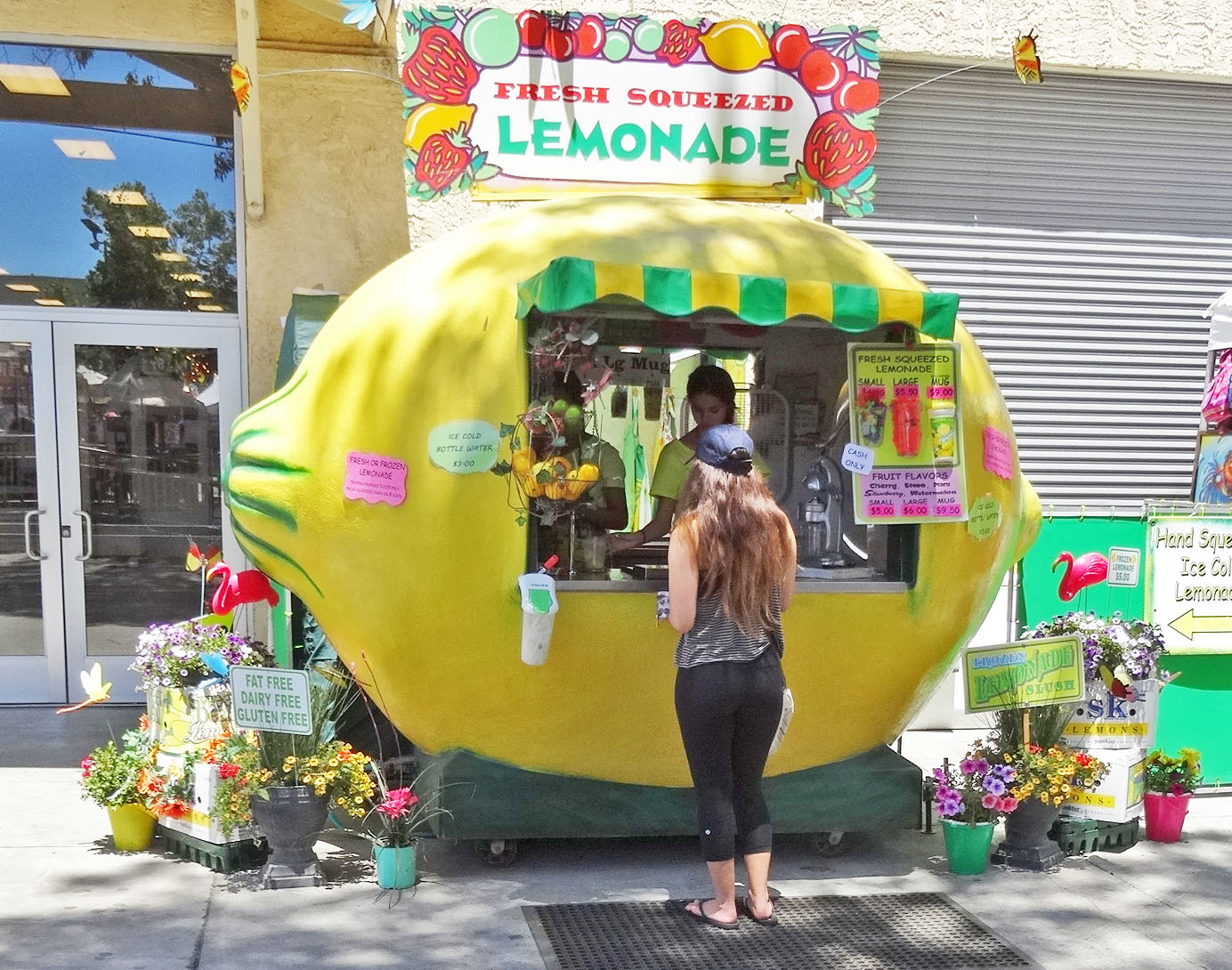 MAD MEAT GENIUS: ALAMEDA COUNTY FAIR FOOD