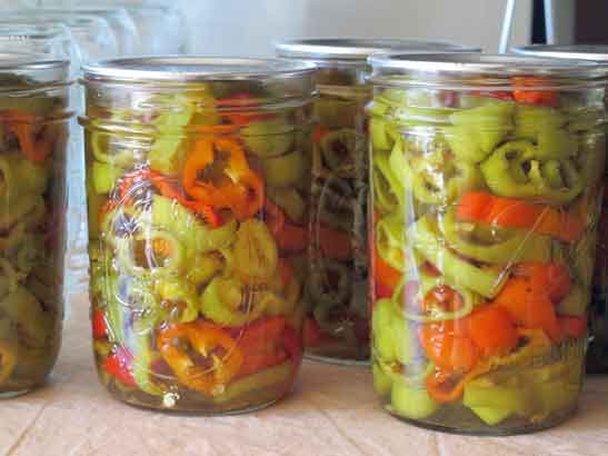 Preserving the Harvest: Hot Pepper Rings