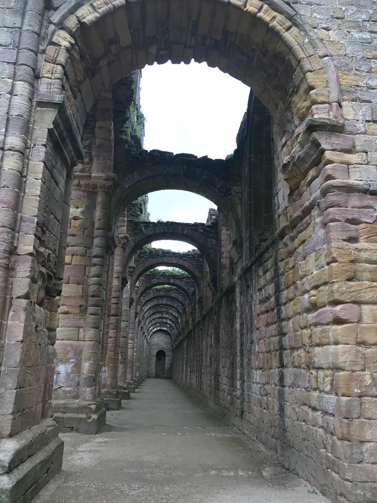 The Helpful Art Teacher: Photography 101: types of camera shots