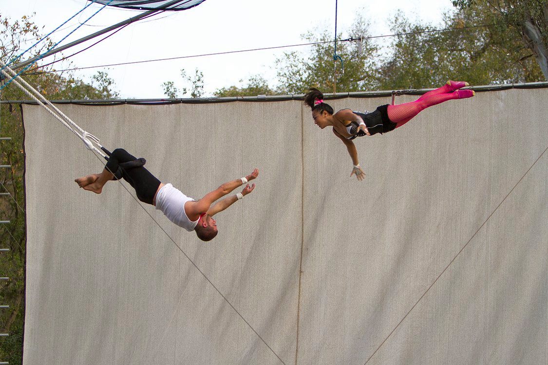 Sensory Overload: Trapeze High Show - Catching and Flying