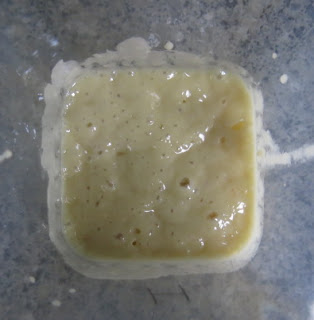 Starting a Herman Starter (Friendship bread)