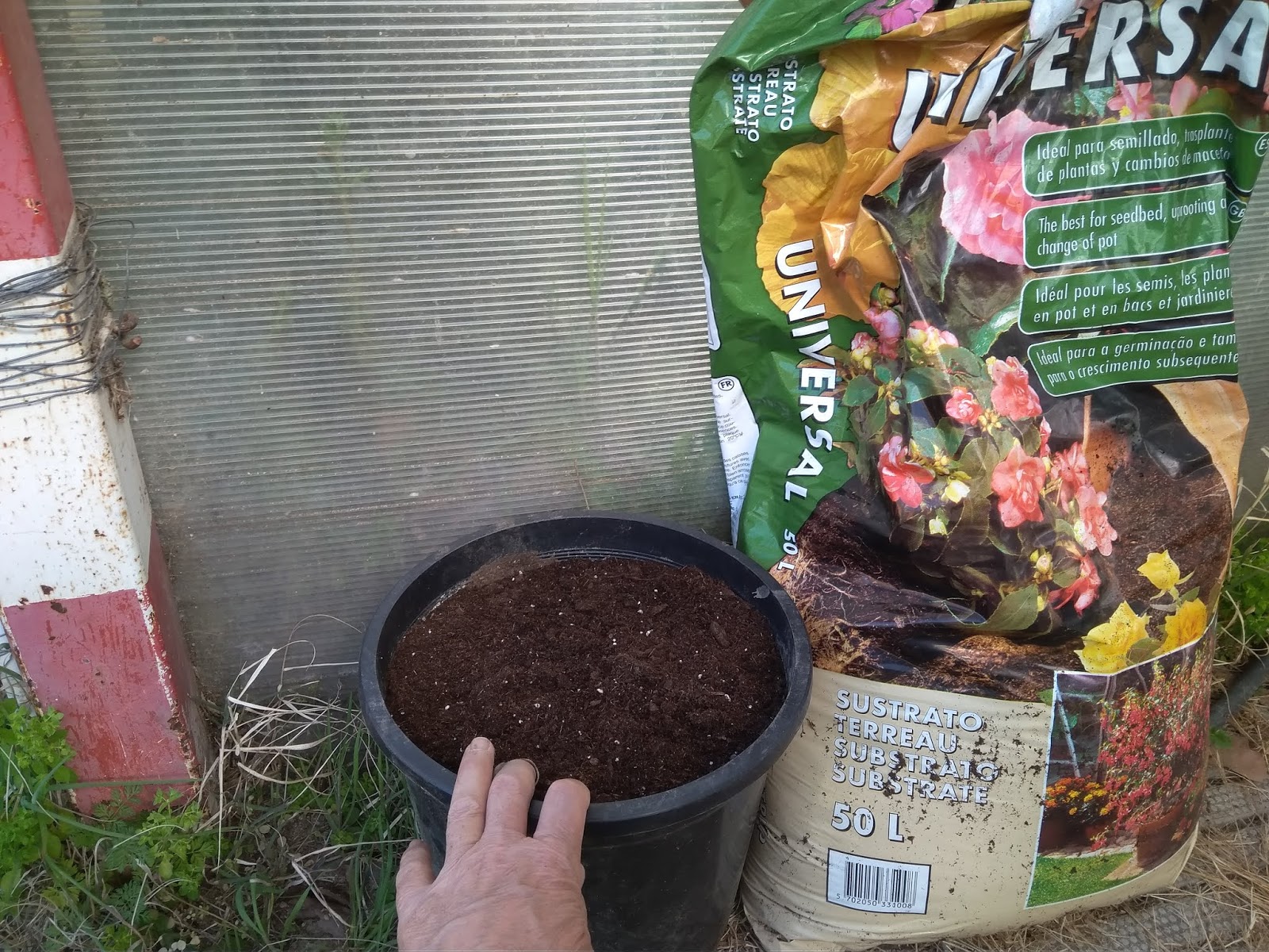 DE LOS SEMILLEROS A LA MACETA | En torno al huerto.