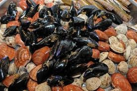 Affitta Cuoco: I MITILI