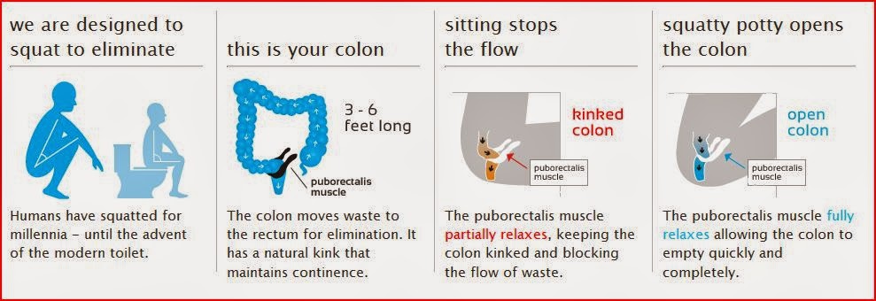 Notes from a Nerdling: The Stool Stool