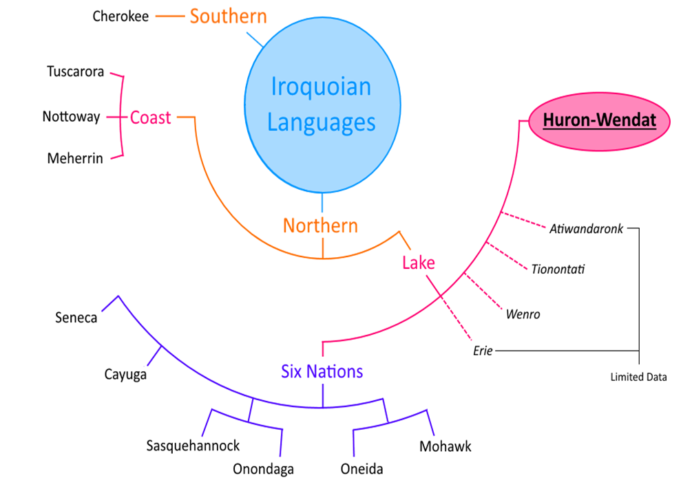 Wendat Language Revitalization: Family Trees!