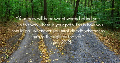 Spring Sight: At the Crossroads: Go This Way!