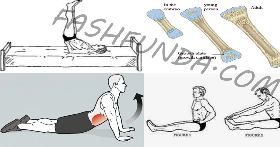 Best Stretching Exercises for Height Increase Naturally | Life With Styles