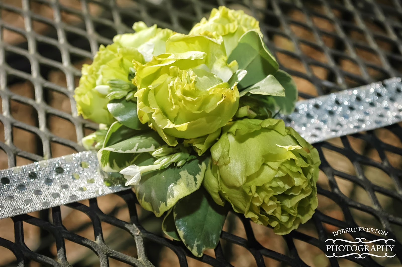 Robert Everton Photography: Cameron + Maureen