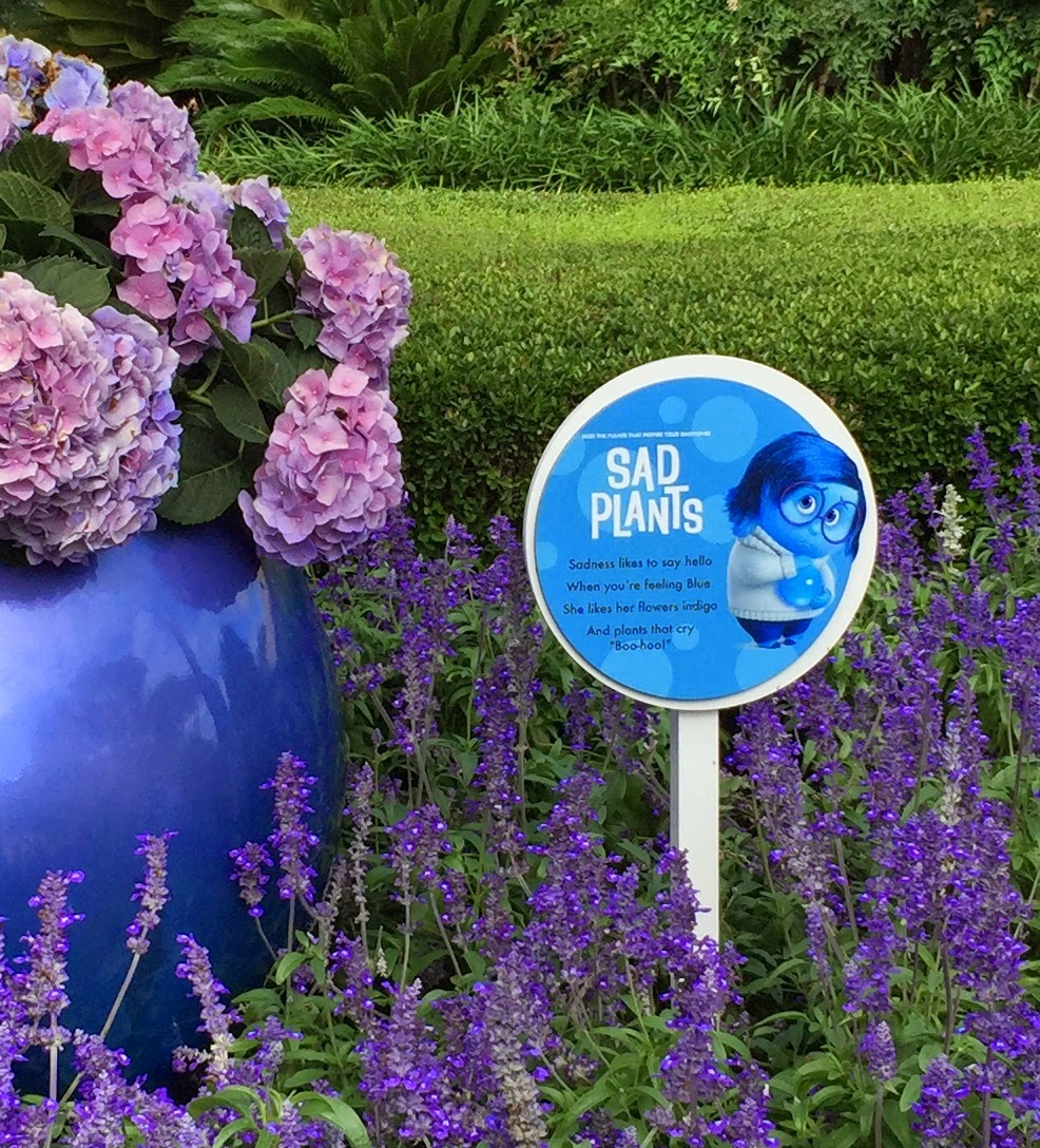 Plus the Magic: The Inside Out Emotion Garden