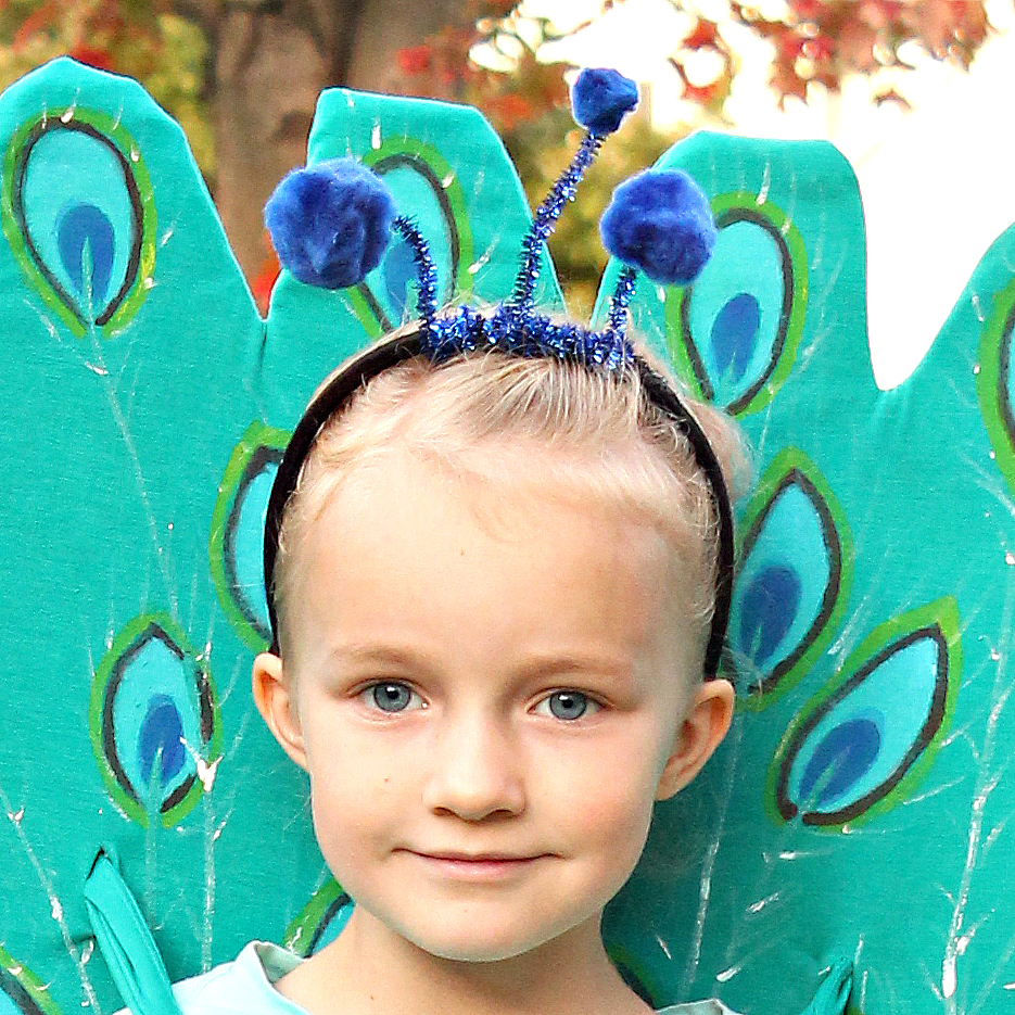 Freshly Completed Diy Peacock Costume