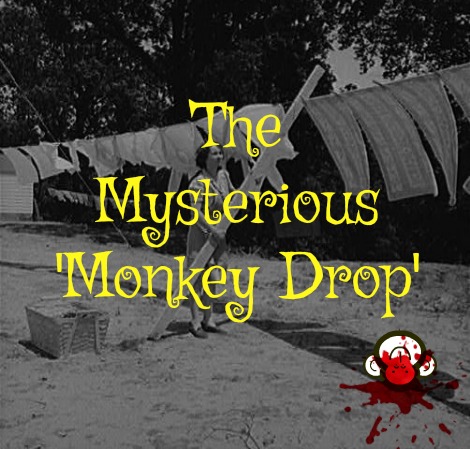 Phantoms and Monsters: Pulse of the Paranormal: The Mysterious 'Monkey ...