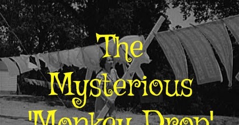 Phantoms and Monsters: Pulse of the Paranormal: The Mysterious 'Monkey ...