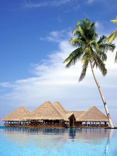 240x320 Nature Wallpapers Download | Mobile Wallpapers | Download Free ...