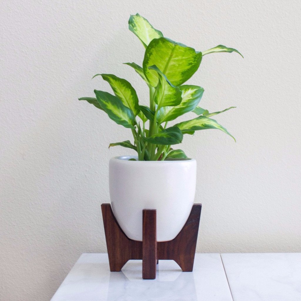 45 Rak Pot Bunga Minimalis untuk Mempercantik Tanaman Hias - Rumahku Unik