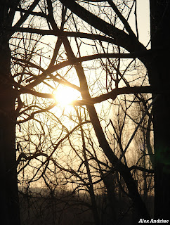 Alex Andriuc: Apus de soare pe valea Timisului.