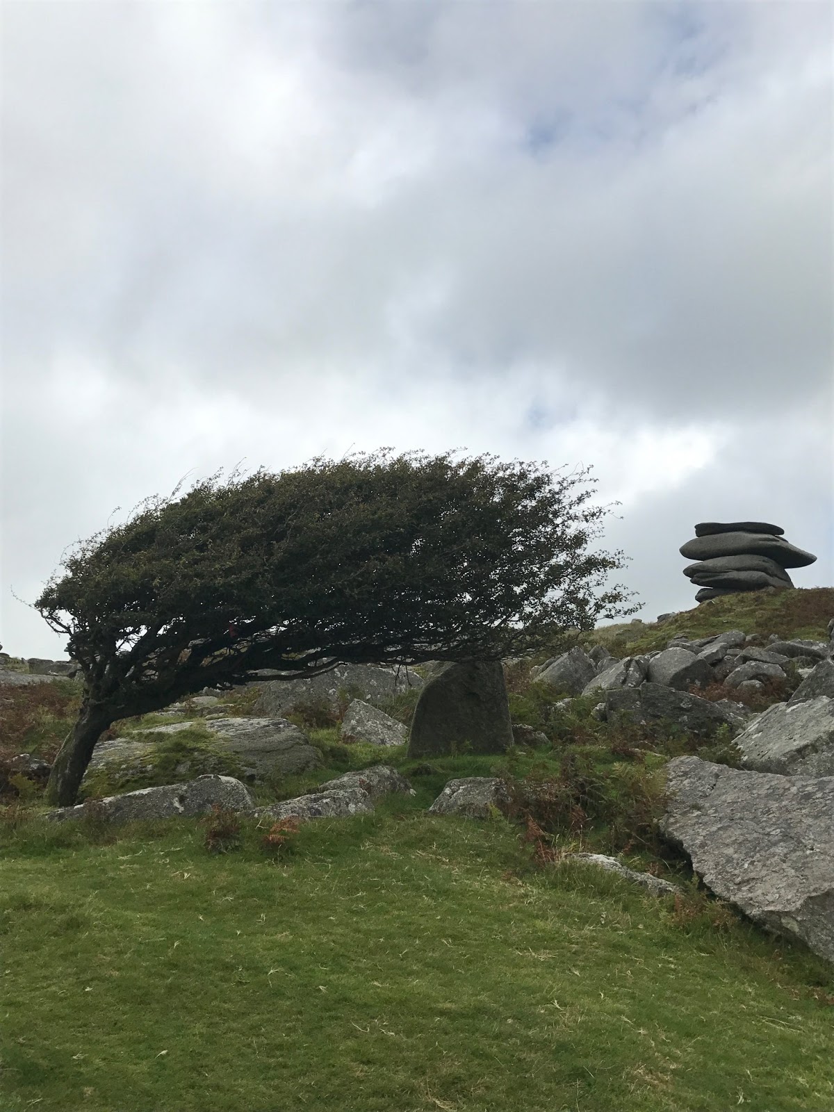Myths, Legends, Books Coffee Pots: Folklore of Cornwall — and the Ghost ...