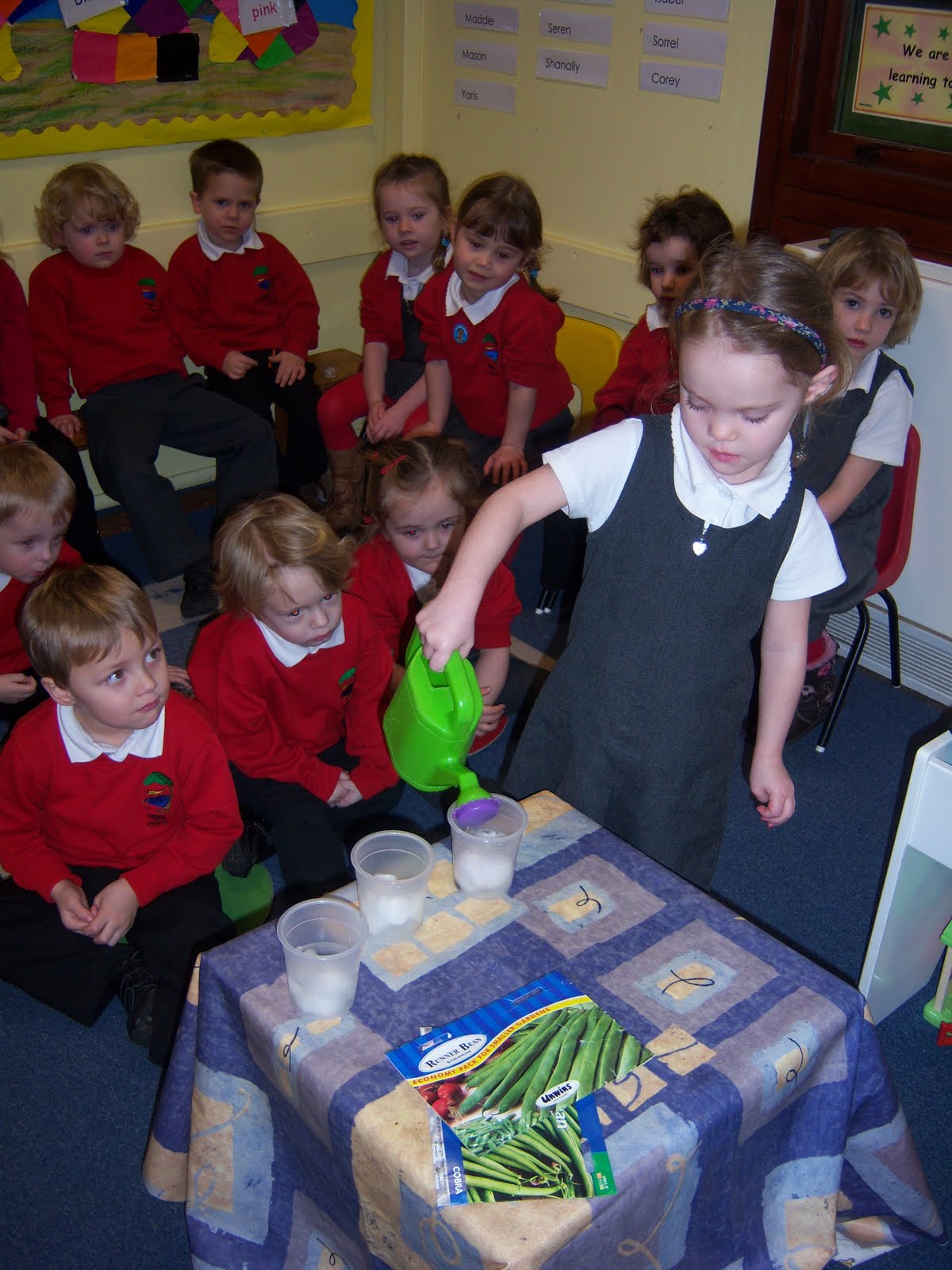 Ysgol Y Tywyn: Jac a'r goeden ffa/Jack and the beanstalk