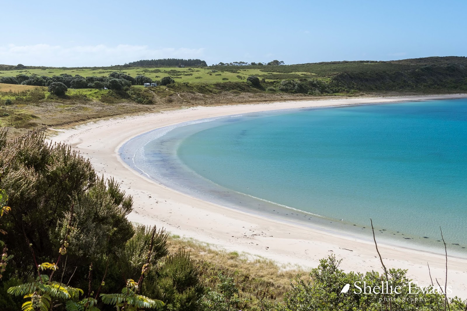 Two Go Tiki Touring: Magnificent Maitai Bay- Karikari Peninsula