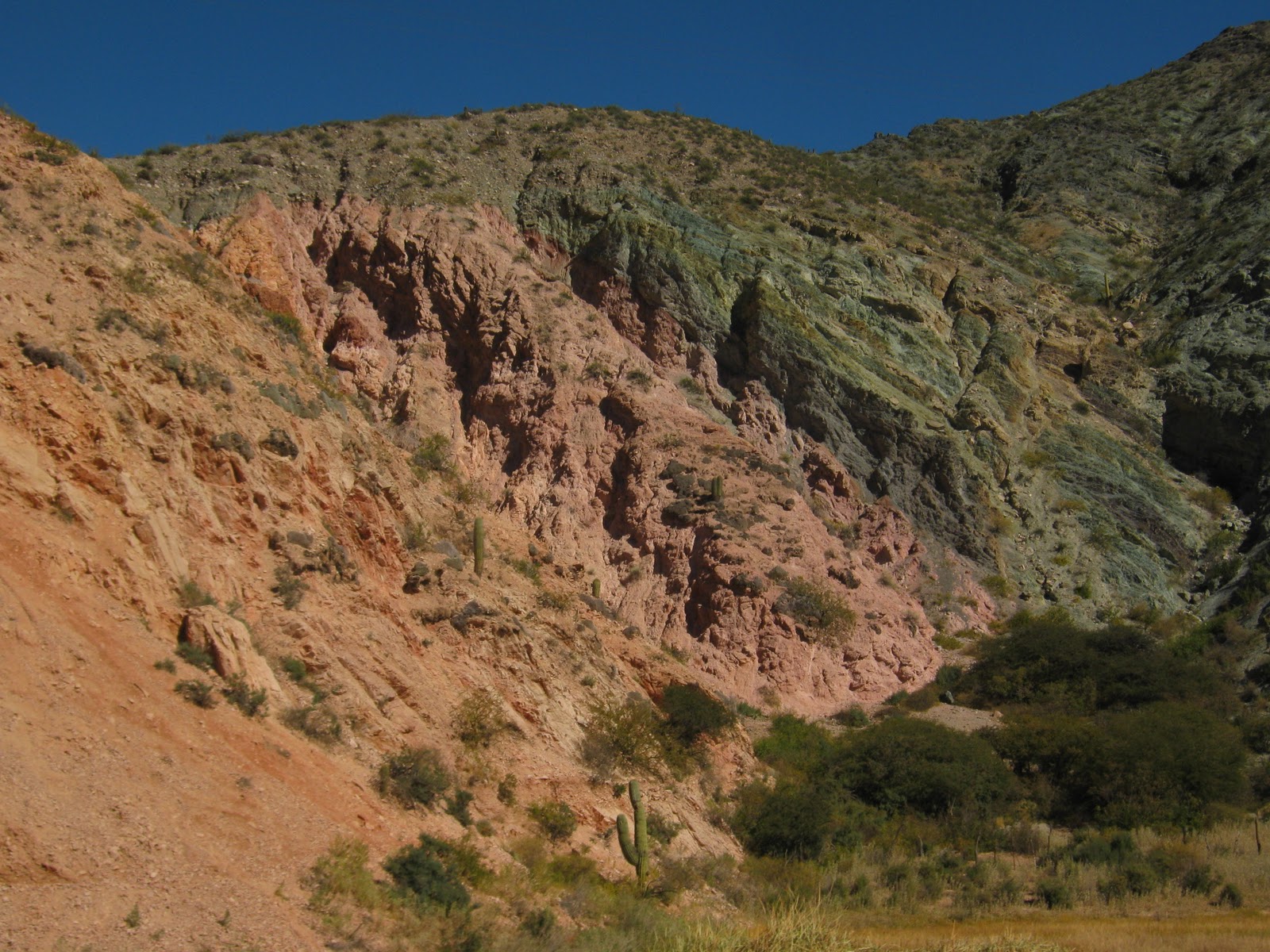 Fotografías: Capturando la vida: Paisaje del Noroeste