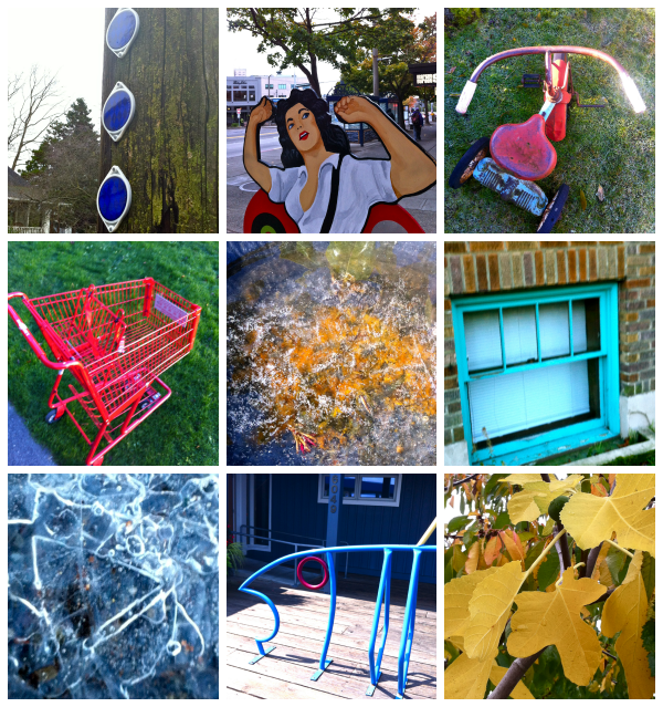 THE CITIZEN ROSEBUD: Picture Perfect: Local Color