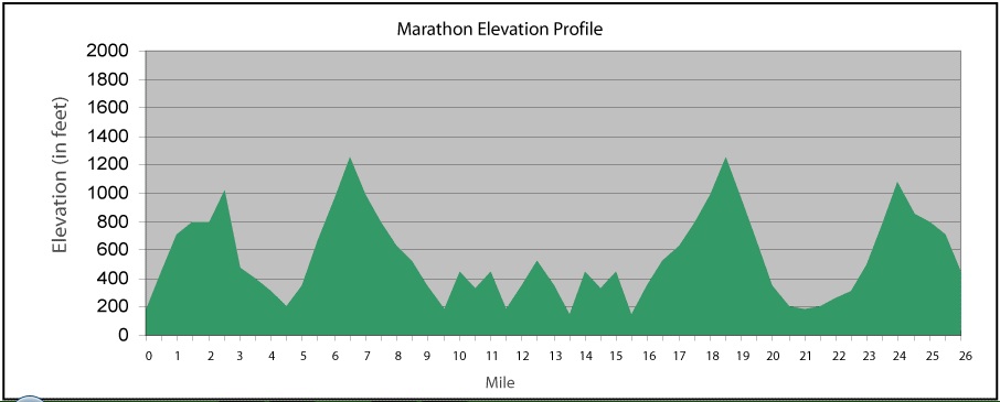 Run Like A Coyote: Big Sur Trail Marathon Recap