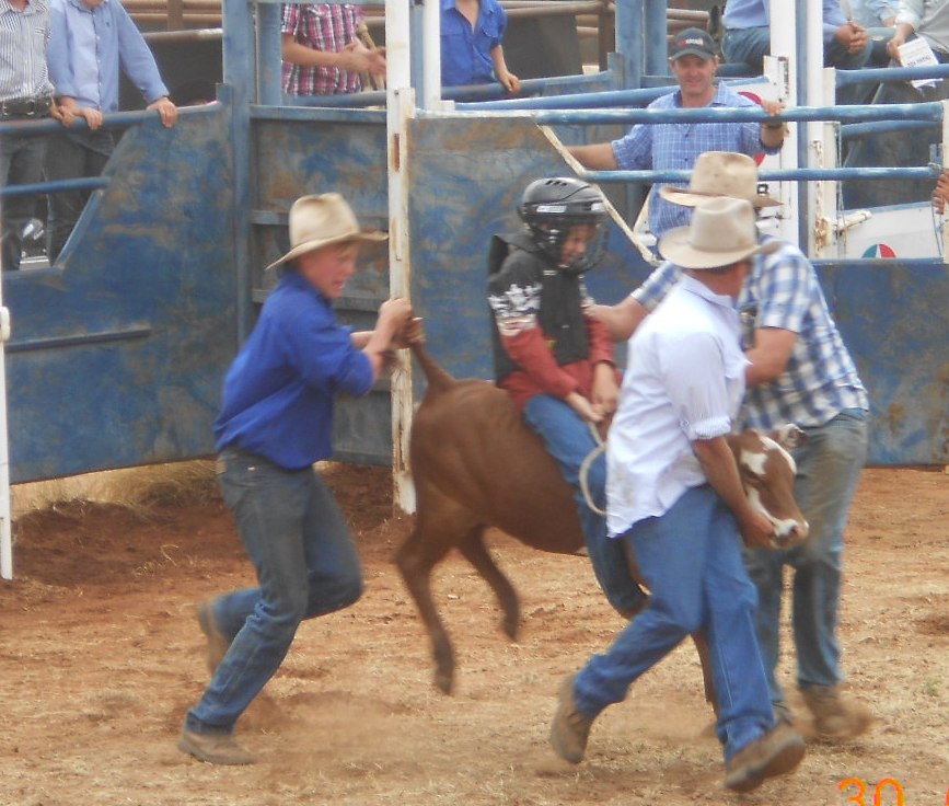 Ron & Anne's adventure: Bulls, dust and broken bones