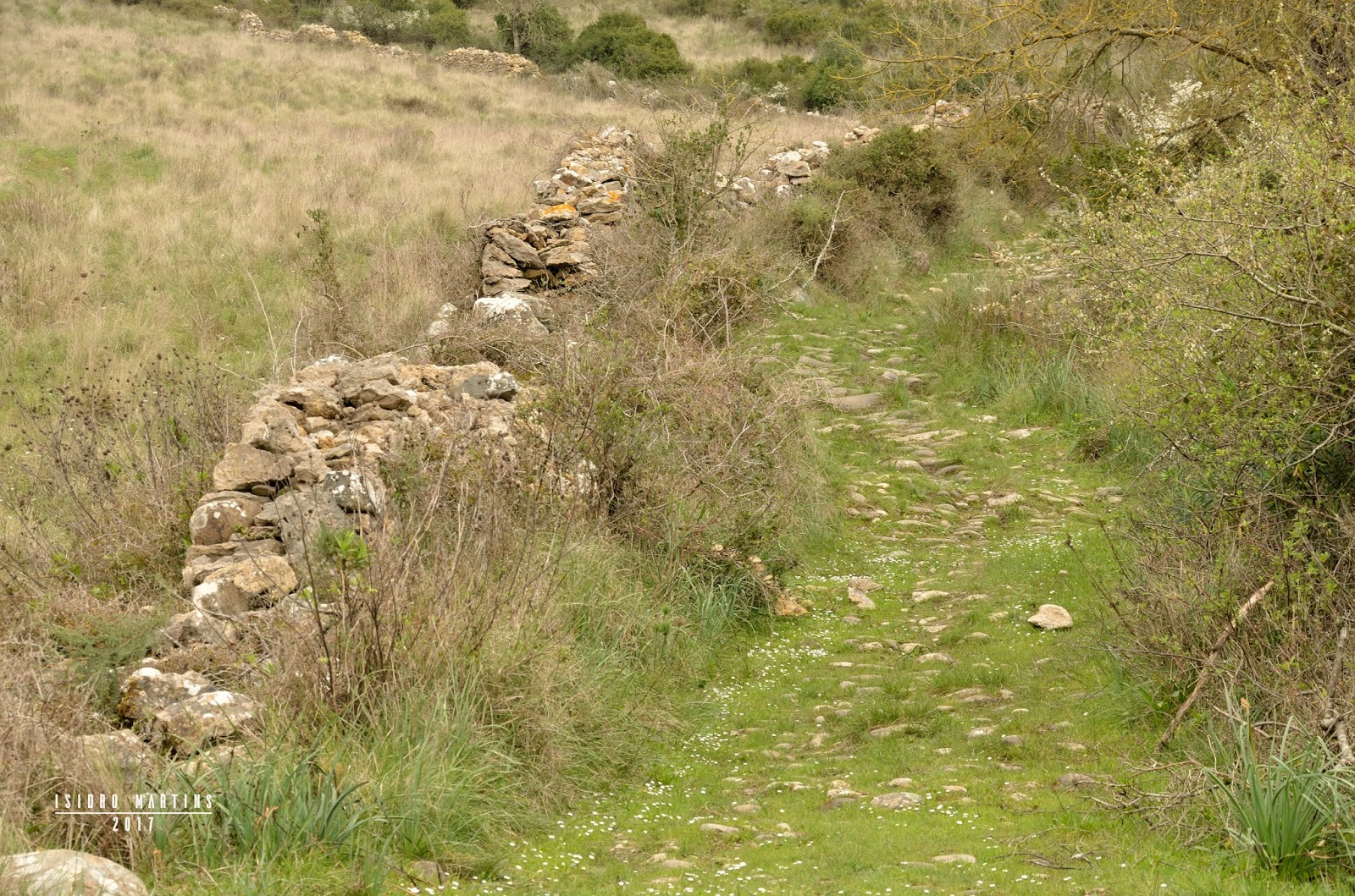 PerspectivasPessoais: Estrada romana de Cabrela