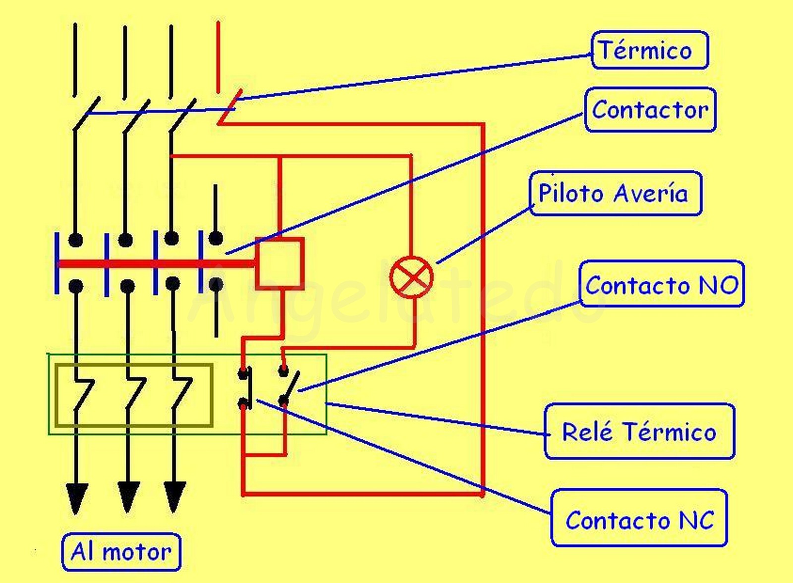 Contactor, cómo funciona, partes ~ Angelatedo