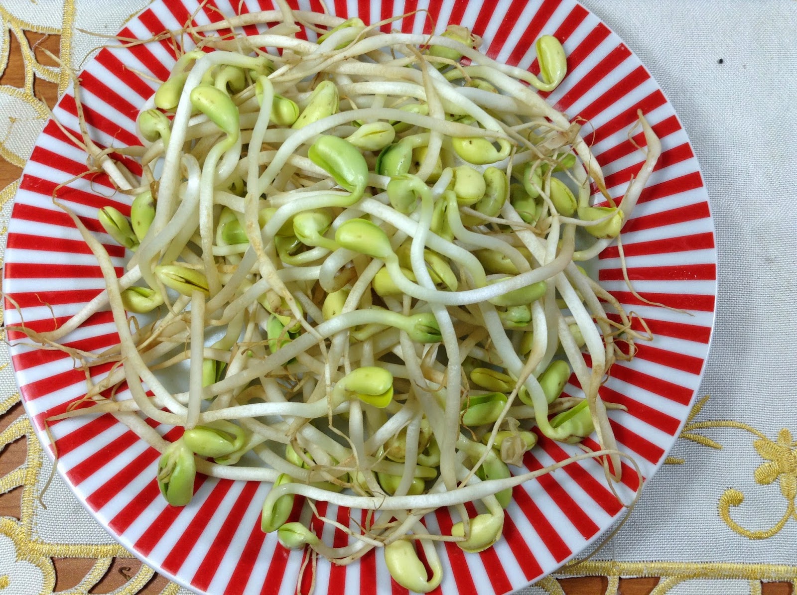 Simply Cooking and Health: Rainbow Bean Sprouts Stir-fry and Soy bean ...