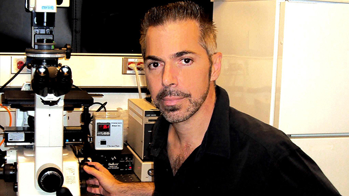 Científicos descubrieron lo que sucede después de la muerte: La ...