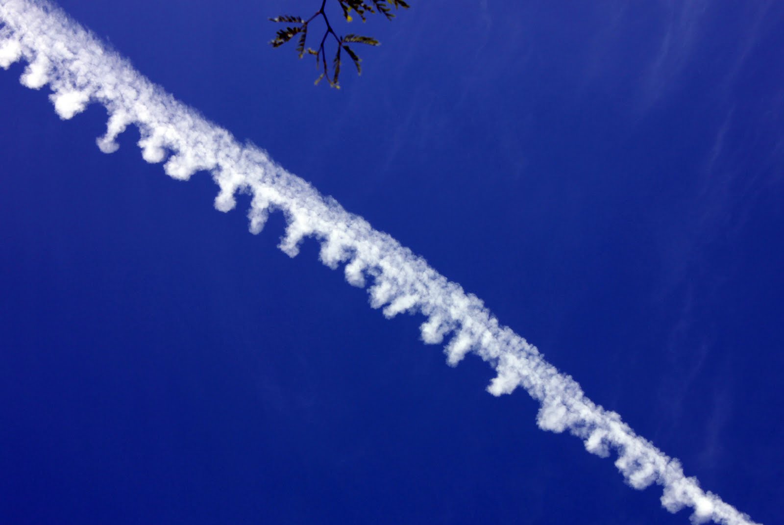 Elvis in my basement: My Own Little Contrail or Falcon Blackswift on ...