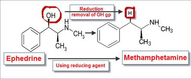 Mengenal Lebih Jauh Tentang Efedrin dan Efeksampingnya Terhadap Kesehatan