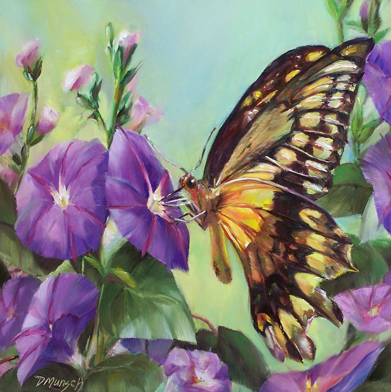 Donna Munsch Fine Art: Original Oil Painting Morning Glory Butterfly