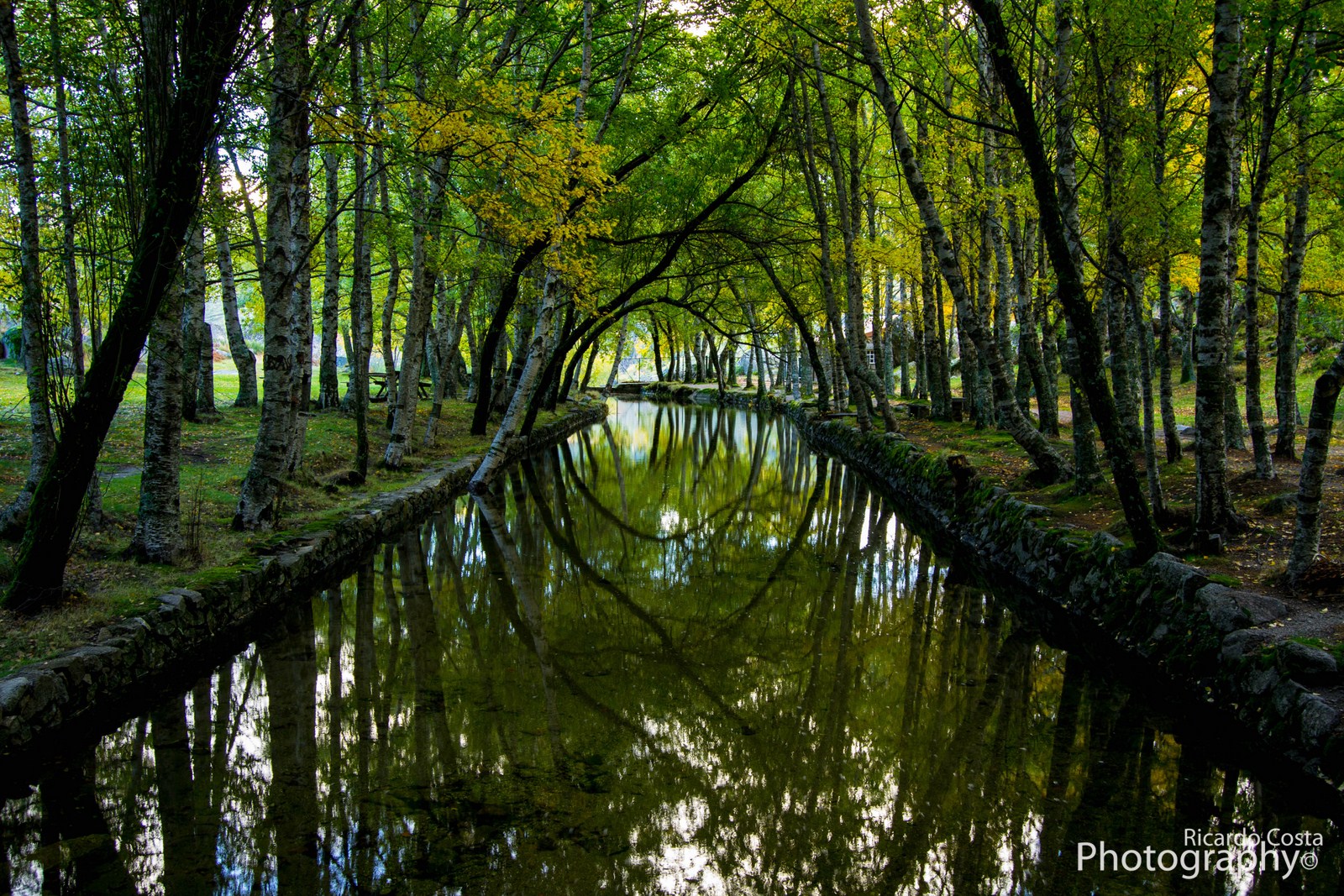 RicardoCosta © Nature & Landscape Photography: Paisagem Natural