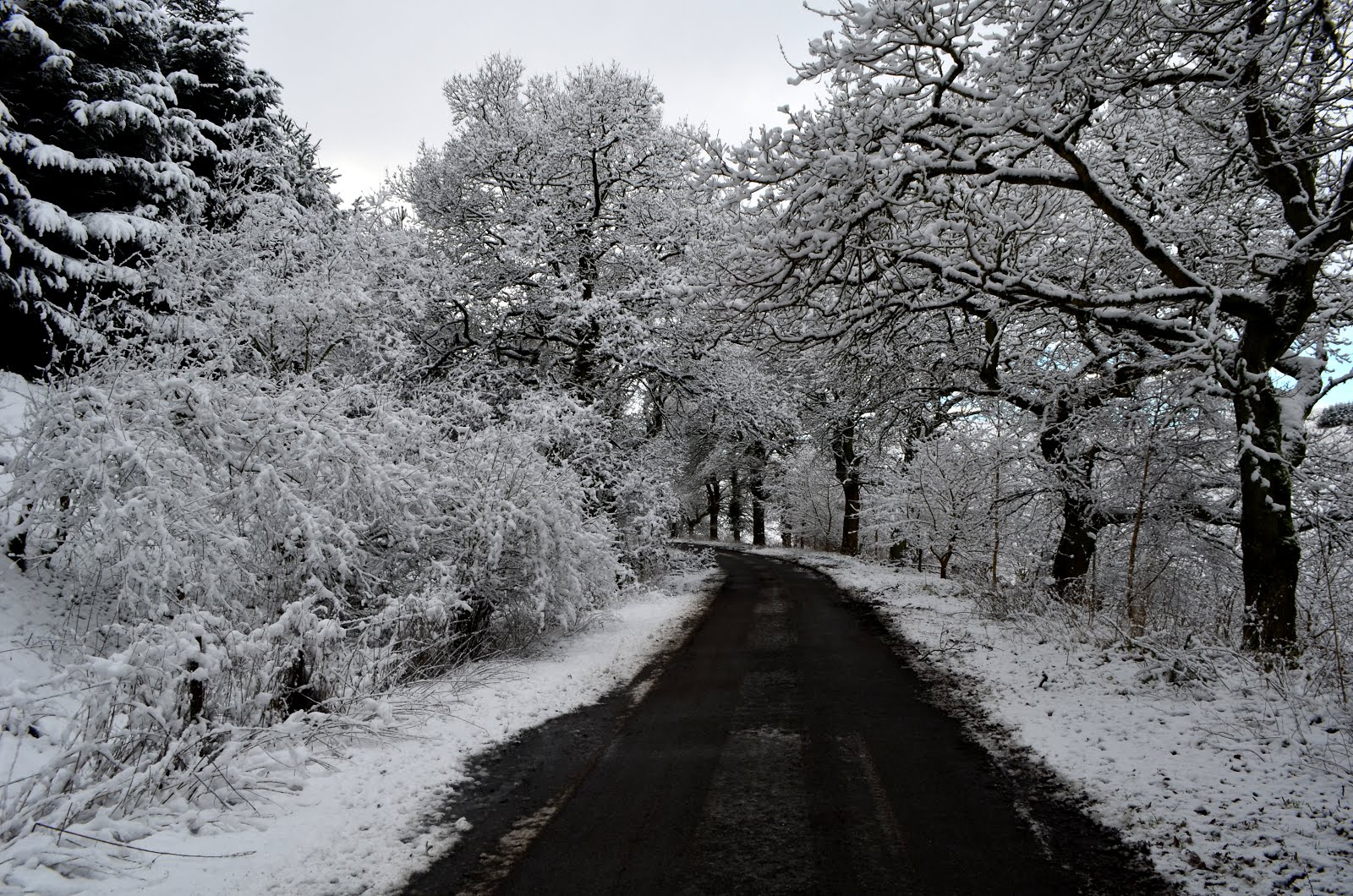 Tour Scotland: Tour Scotland Video Photograph Winter Drive Lundie Angus