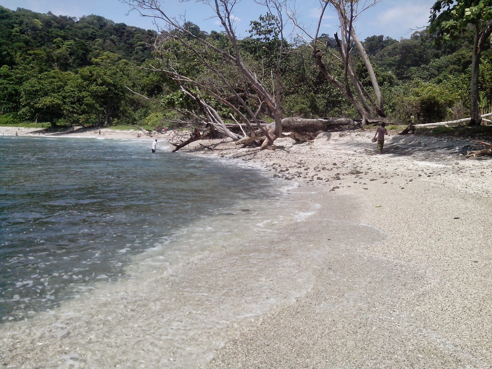 Terbaru 36+ Pantai Kalipat Cilacap, Pemandangan Pantai