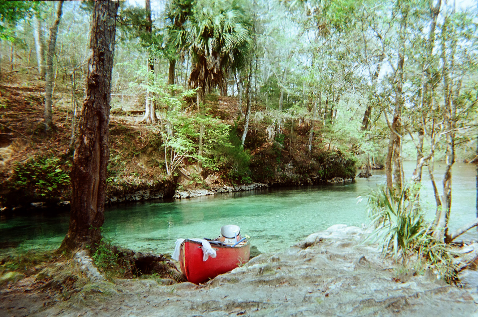 Willow Tree Academy: Econfina Creek Canoe Trip