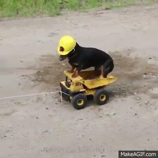 Kansas Transportation: The Making of a Road