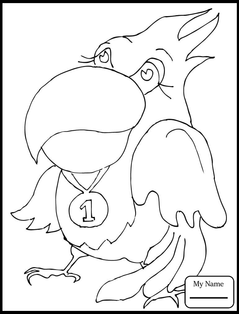 parrots coloring pages - jiahajava