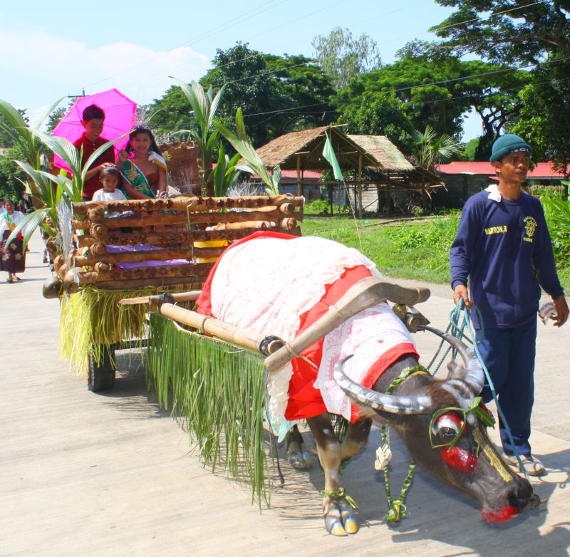 Brooke's Point, Palawan.Com
