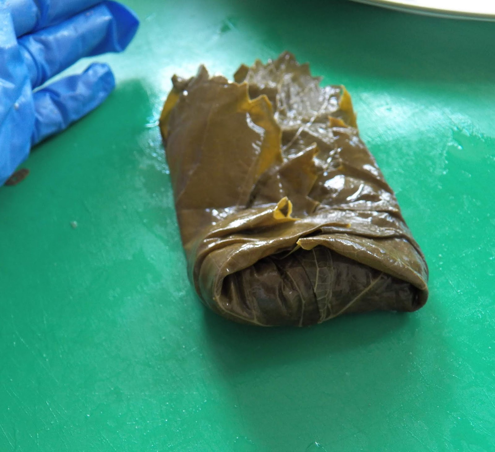 Dolmades - Sid's Sea Palm Cooking