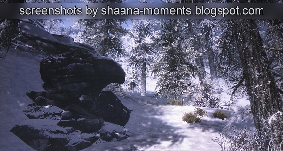 shaana: The Elder Scrolls 5 - Skyrim - Altar des Himmelsgeborenen