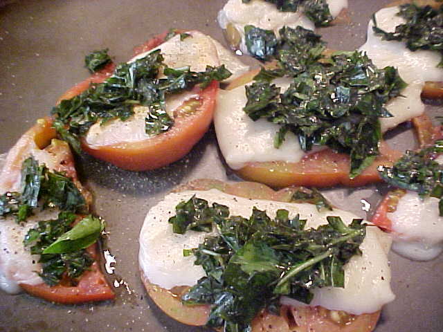 Rosy Creations: Fresh Tomato Basil and Cheese Snack