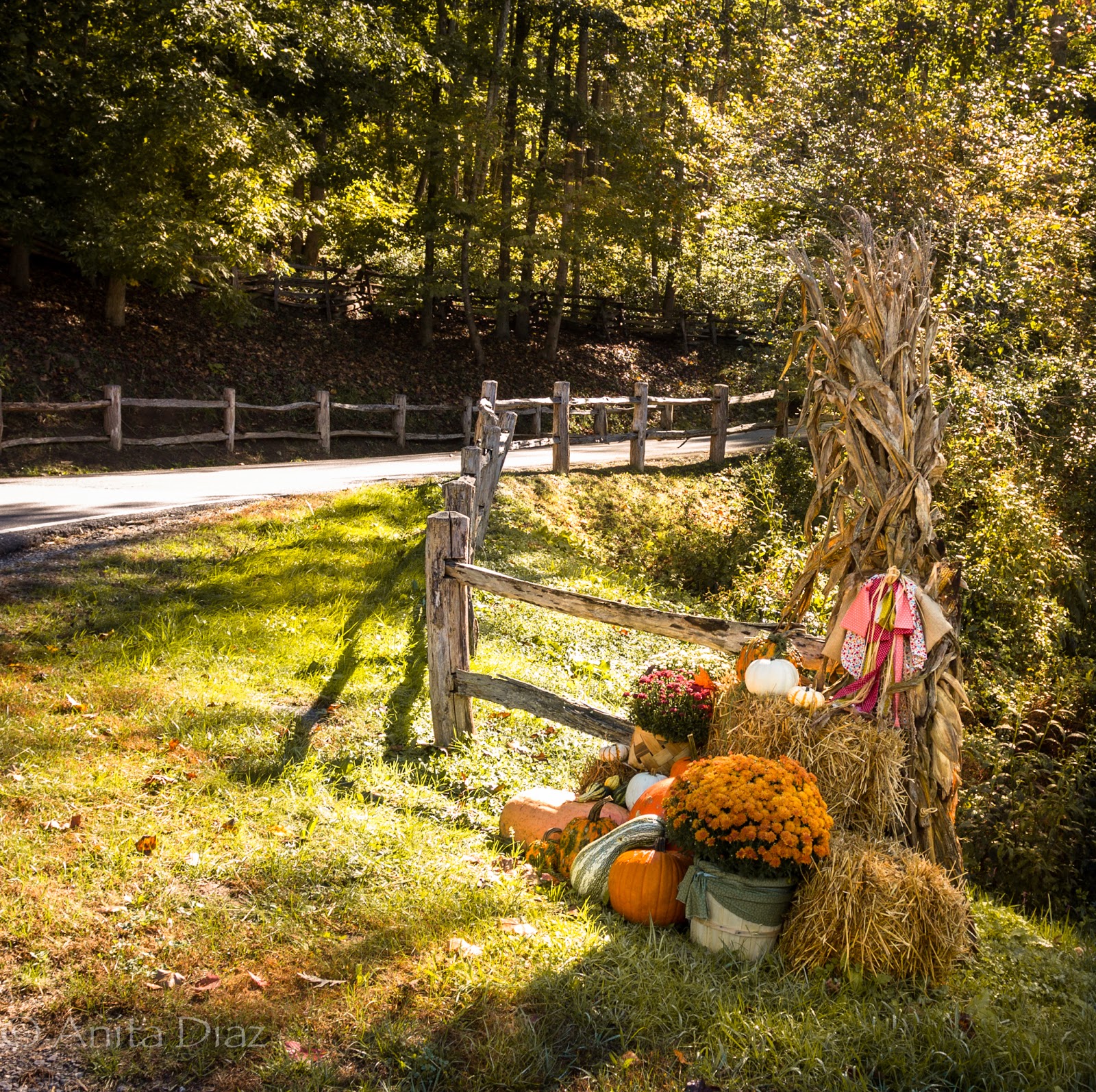 Fall in the mountains - Whispering Pines Homestead