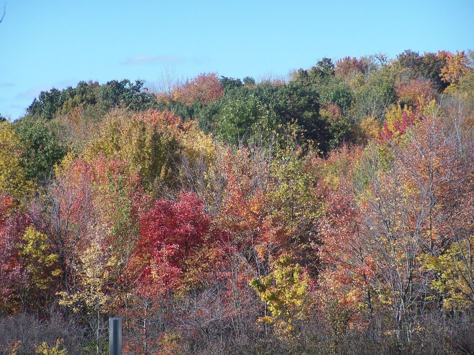 My Family Excursions: Beauty of Fall Colors
